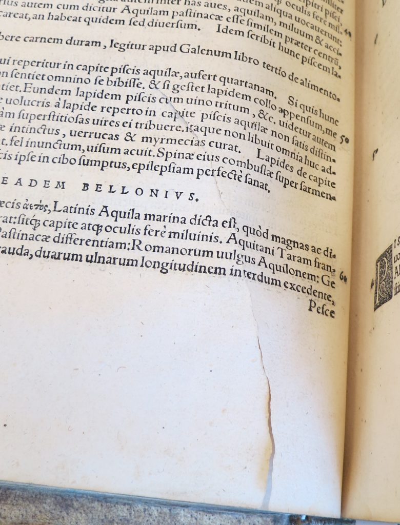 The Fix – The Art of Simple Paper Repair – Smithsonian Libraries and ...