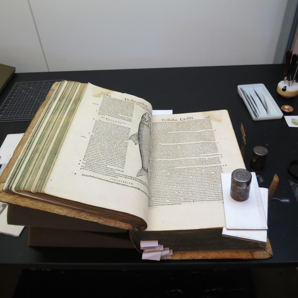 The Fix – The Art of Simple Paper Repair – Smithsonian Libraries and ...