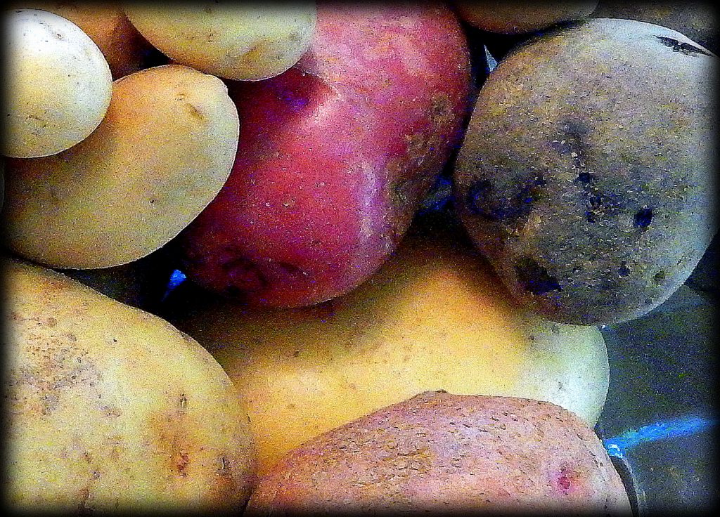 Celebrate the Potato – Smithsonian Libraries / Unbound