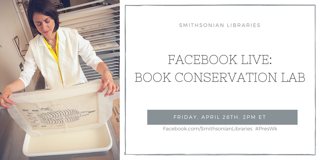 The Fix: A behind-the-scenes tour for Preservation Week – Smithsonian ...