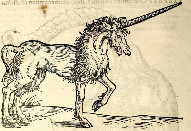 Monoceros: What Conrad Gessner’s discussion of the unicorn tells us ...